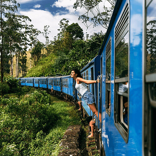Travel & Exploration – HSUSHOP